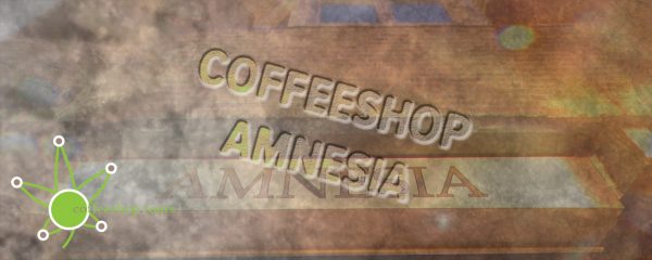 Coffeeshop and Jazzclub Amnesia - coffeeshop.tours